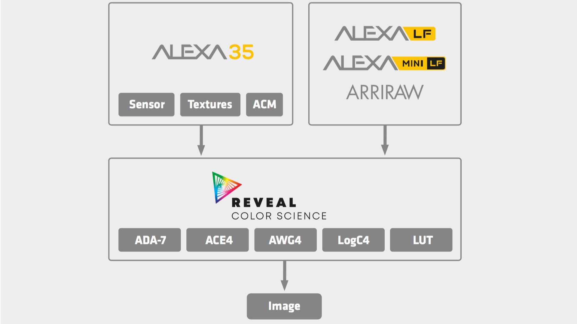 ARRI's new ALEXA 35: New 4.6K sensor and 17-stops of dynamic range