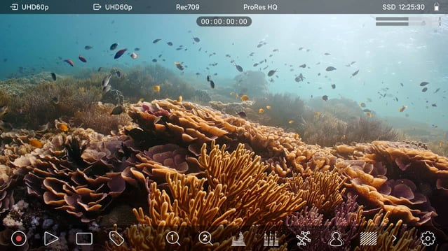 Atomos unveils a brand new Ninja series