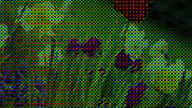 Here is a greatly simplified explanation of Raw and Log video