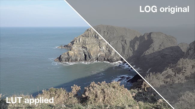 Here is a greatly simplified explanation of Raw and Log video