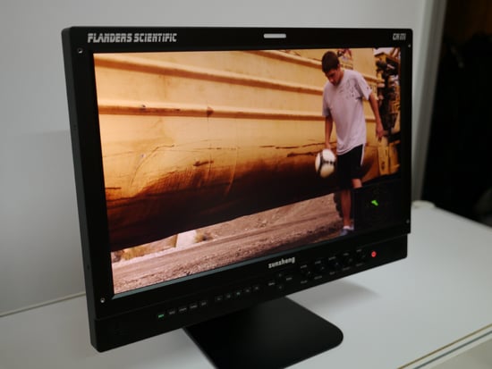 Flanders Scientific: all about their latest Models