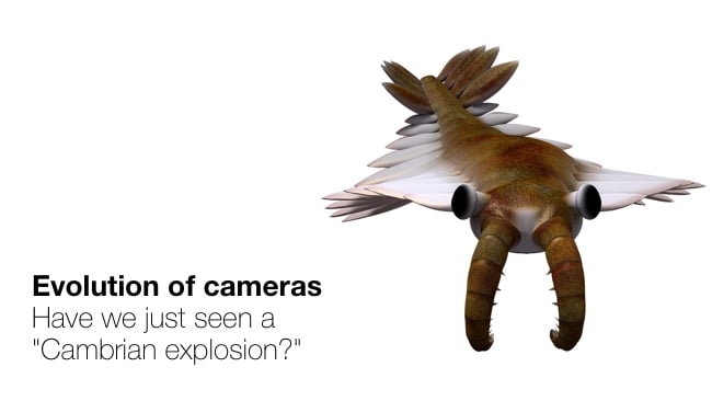 Did we just have a 'Cambrian Explosion' of cameras?