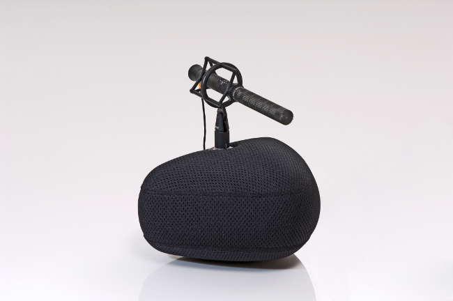 Microphones for Video: What you need to know