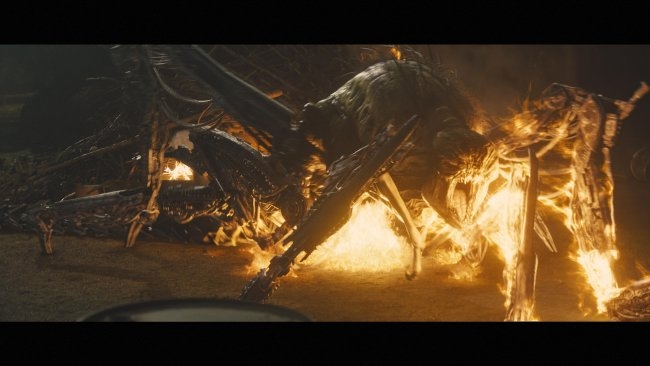 The Maze Runner Unravelled - how to make a CGI labyrinth