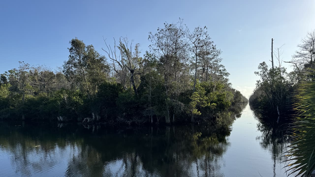 Photon camera app reviewed: add impressive control to your iPhone shoots