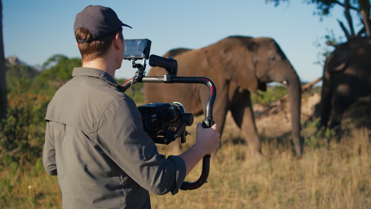 Blackmagic PYXIS 6K reviewed: On safari with Blackmagic’s impressive ...