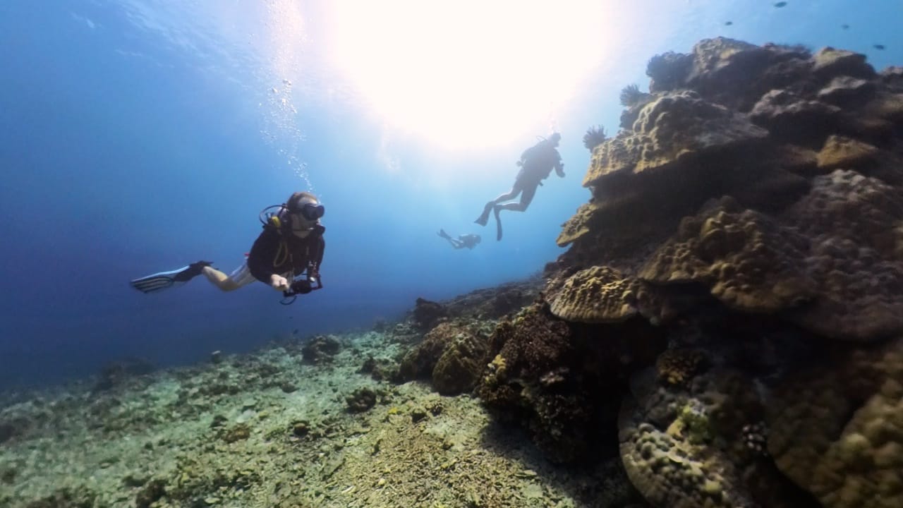 Insta360's revolutionary new invisible dive case for awesome underwater ...